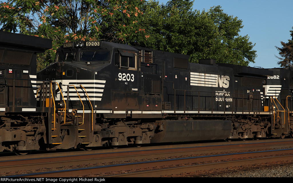 NS 9203